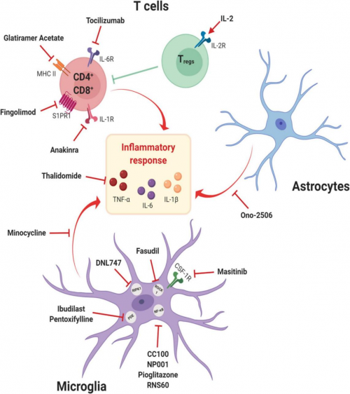 肌萎缩侧索硬化症（ALS）治疗策略的过去、现在和未来_综合_健康一线资讯