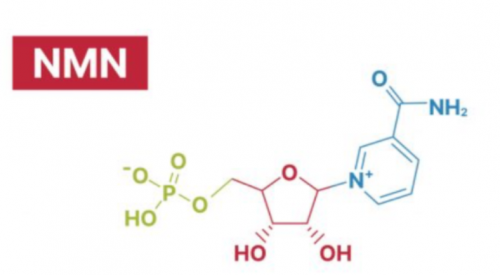 被李嘉诚带货的NMN，LAIFE通过优化分子晶型让它吸收率提升1.8倍_综合_健康一线
